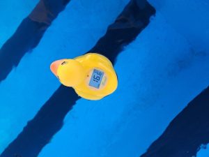 The Ultimate Guide to Beverley Whitfield Pool Shellharbour