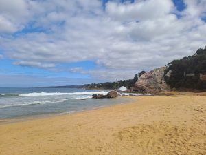 The Ultimate Guide to Aslings Beach Rock Pool